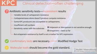 KPC (Klebsiella pneumoniae carbapenamases) | PDF