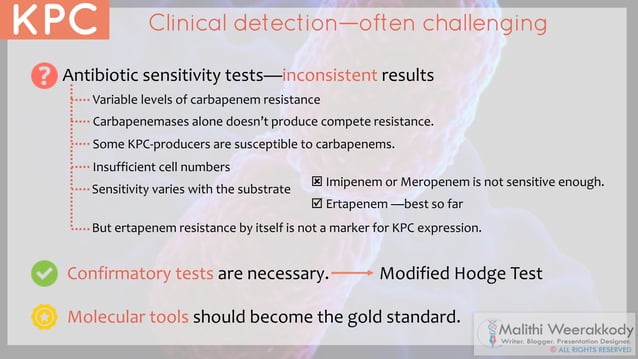 KPC (Klebsiella pneumoniae carbapenamases) | PDF