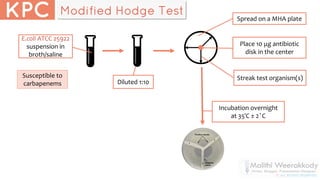 KPC (Klebsiella pneumoniae carbapenamases) | PDF