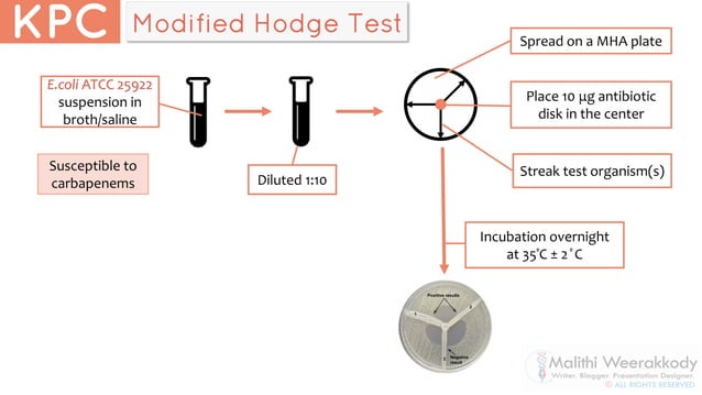 KPC (Klebsiella pneumoniae carbapenamases) | PDF