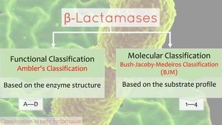 KPC (Klebsiella pneumoniae carbapenamases) | PDF