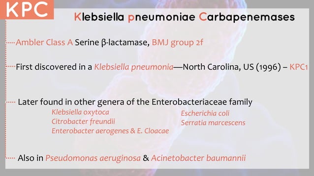 KPC (Klebsiella pneumoniae carbapenamases) | PDF