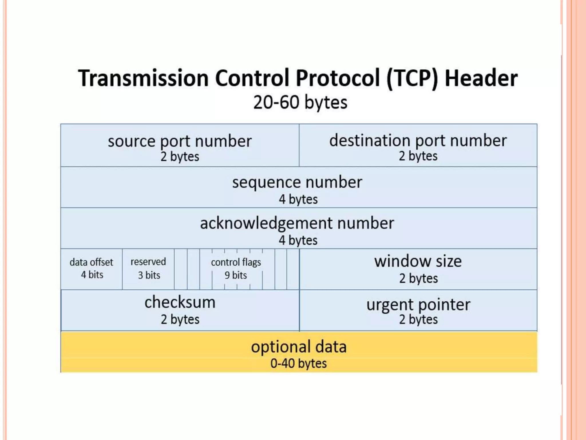 #KPC #CST #Protocols | PPTX