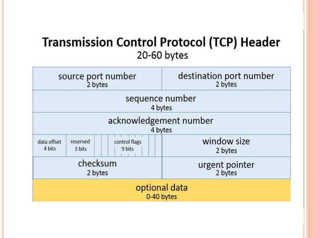 #KPC #CST #Protocols | PPT