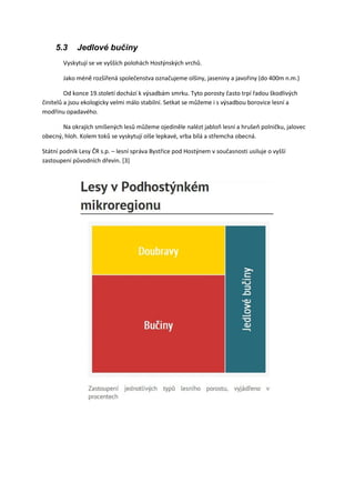 Závěrečný úkol KPI | PDF