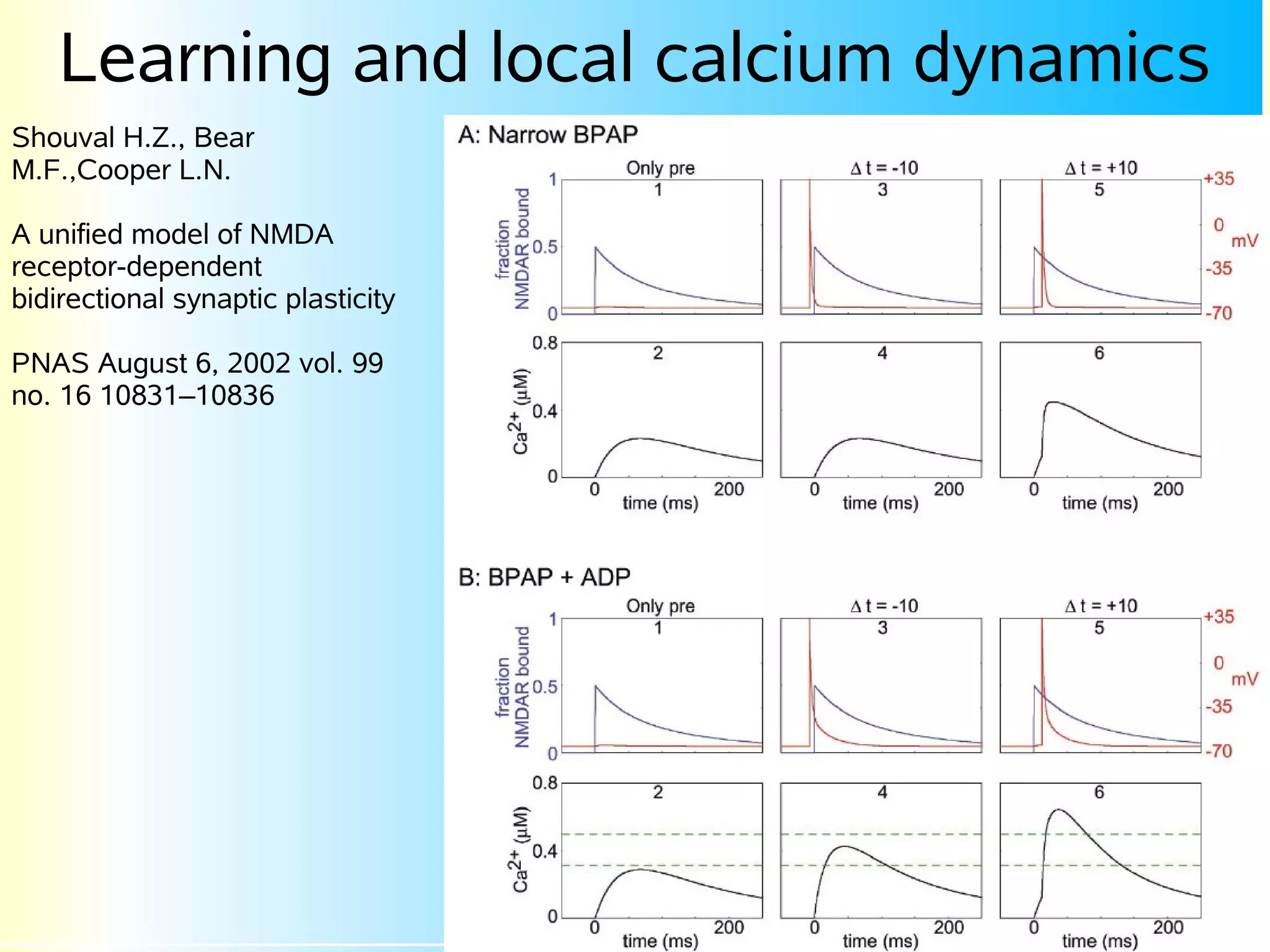 Introduction to Modern Methods and Tools for Biologically Plausible Modelling of Neural ...