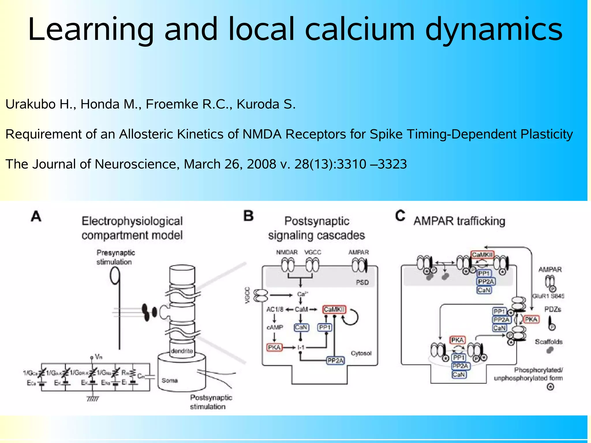 Introduction To Modern Methods And Tools For Biologically Plausible Modelling Of Neural