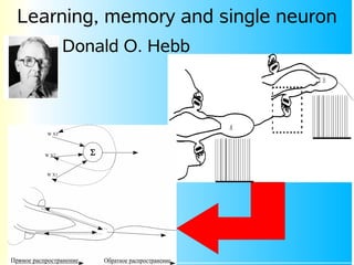 Introduction to Modern Methods and Tools for Biologically Plausible Modelling of Neural ...