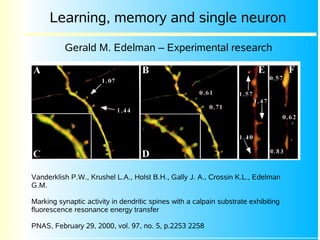 Introduction to Modern Methods and Tools for Biologically Plausible Modelling of Neural ...