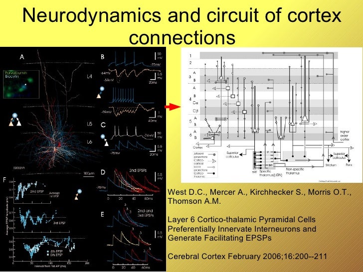 Introduction to modern methods and tools for biologically plausible m…