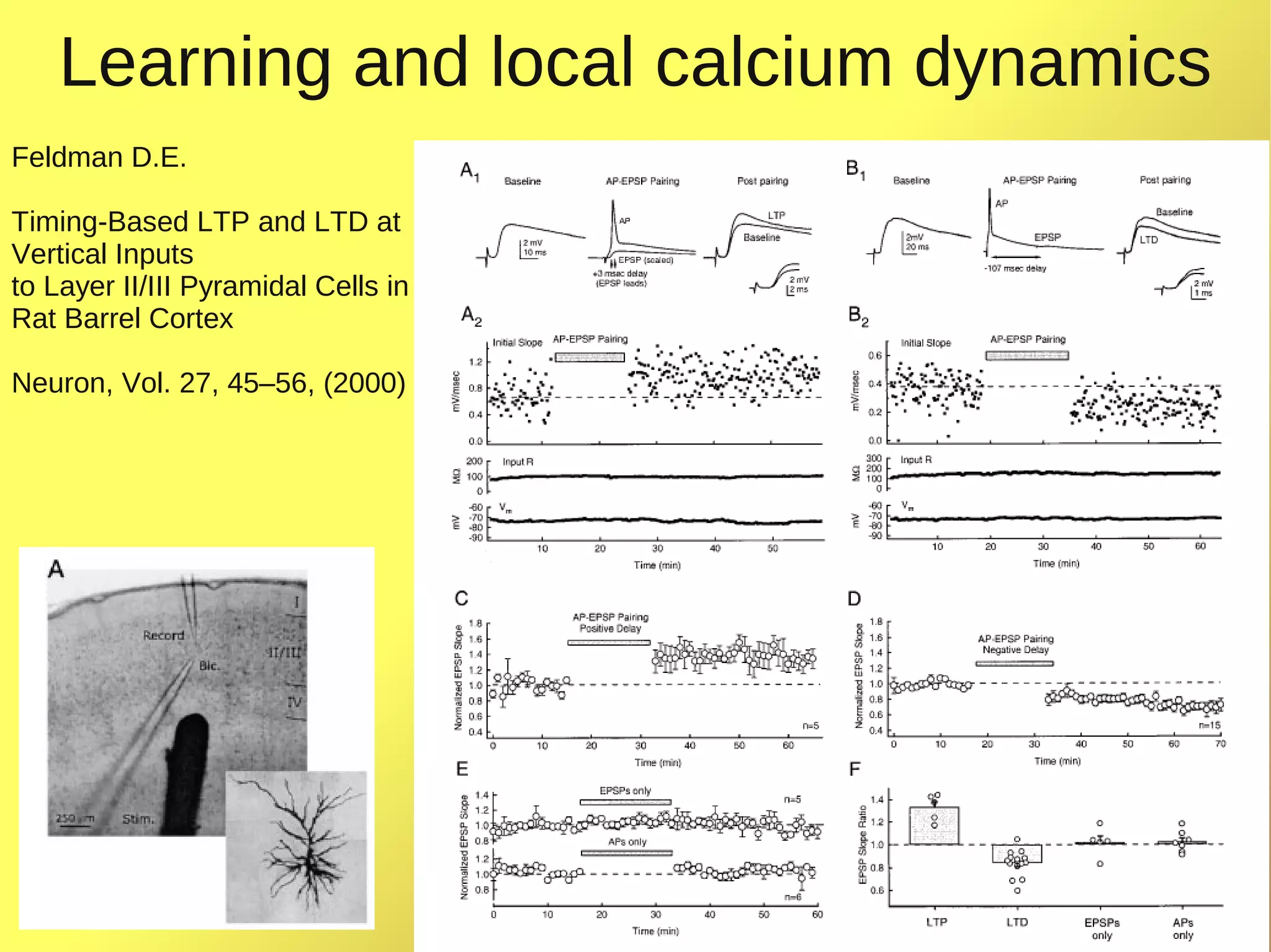 Introduction To Modern Methods And Tools For Biologically Plausible