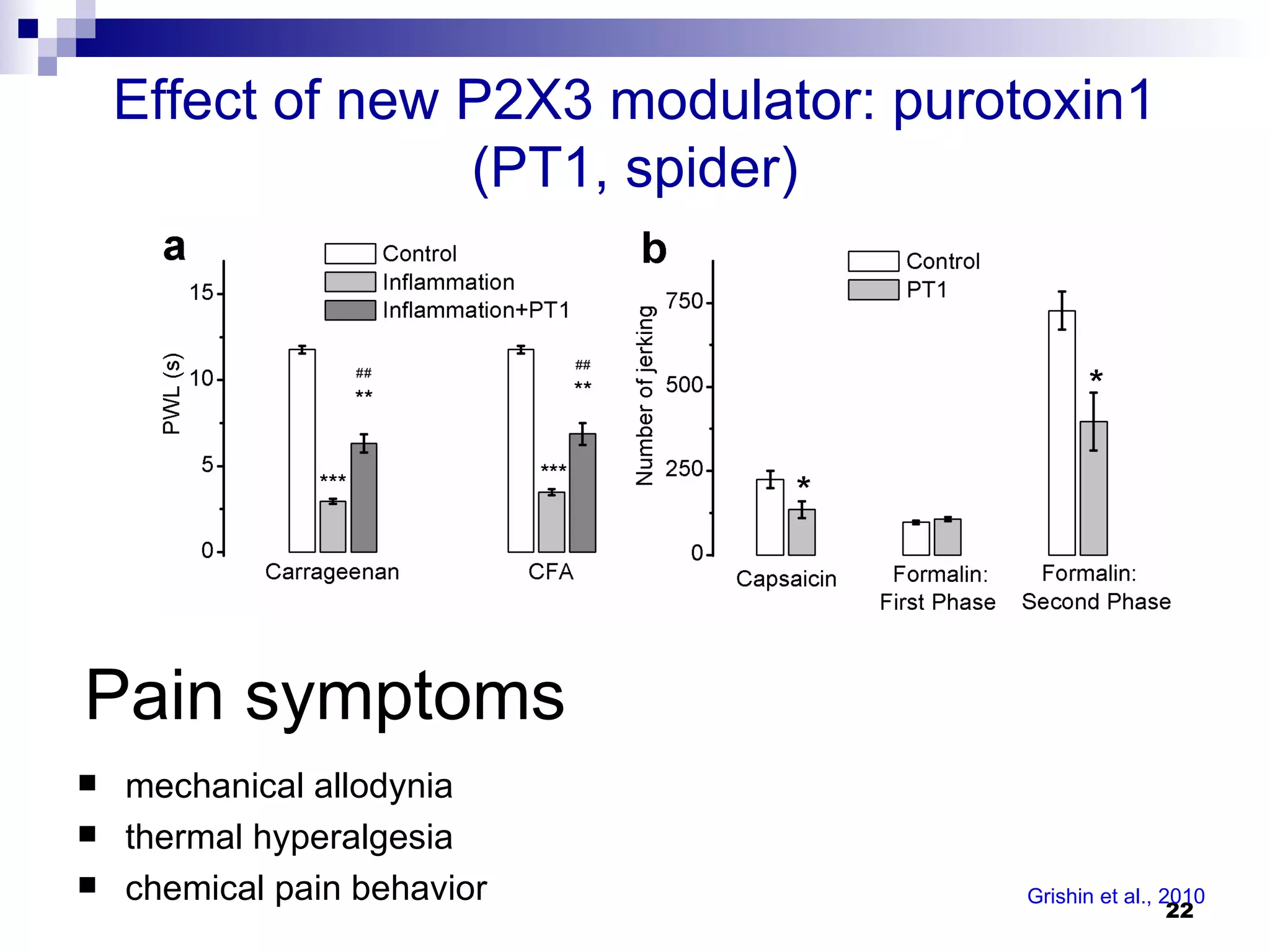 Molecular Mechanisms of Pain. Part 1 | PPT