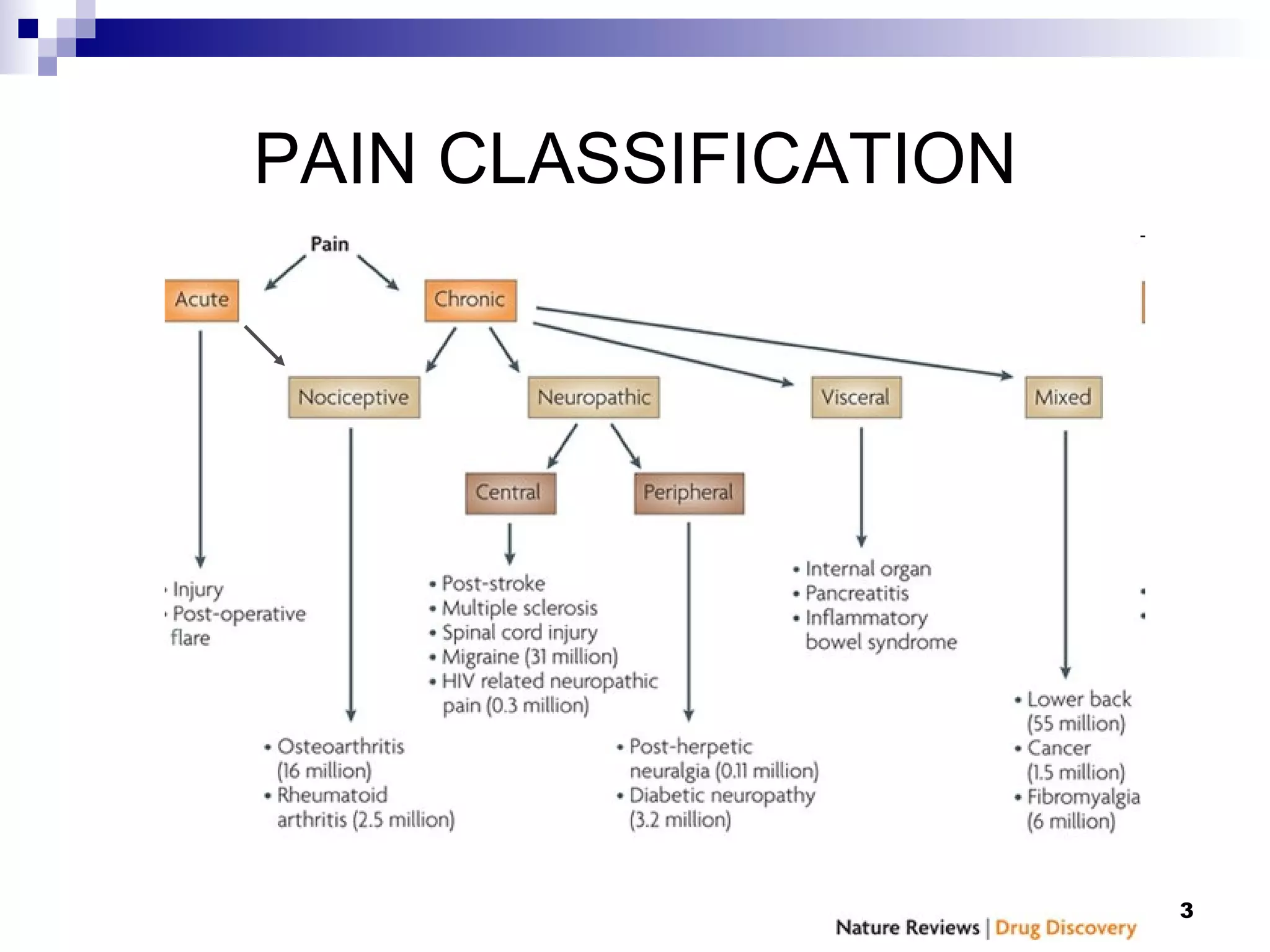 Molecular Mechanisms of Pain. Part 1 | PPT
