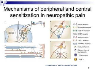 Molecular Mechanisms of Pain. Part 1 | PPT
