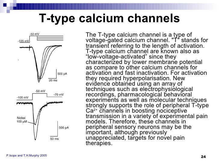 Molecular Mechanisms of Pain. Part 1