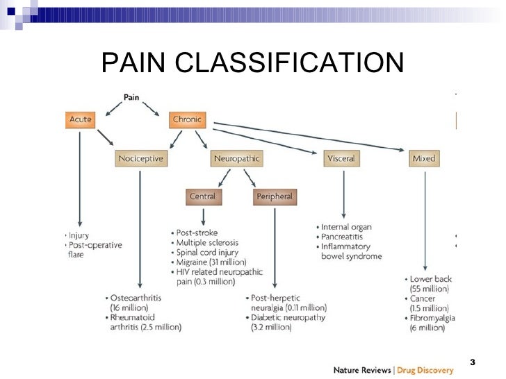 Molecular Mechanisms of Pain. Part 1