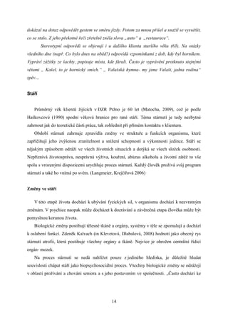 KPI- závěrečná práce | PDF