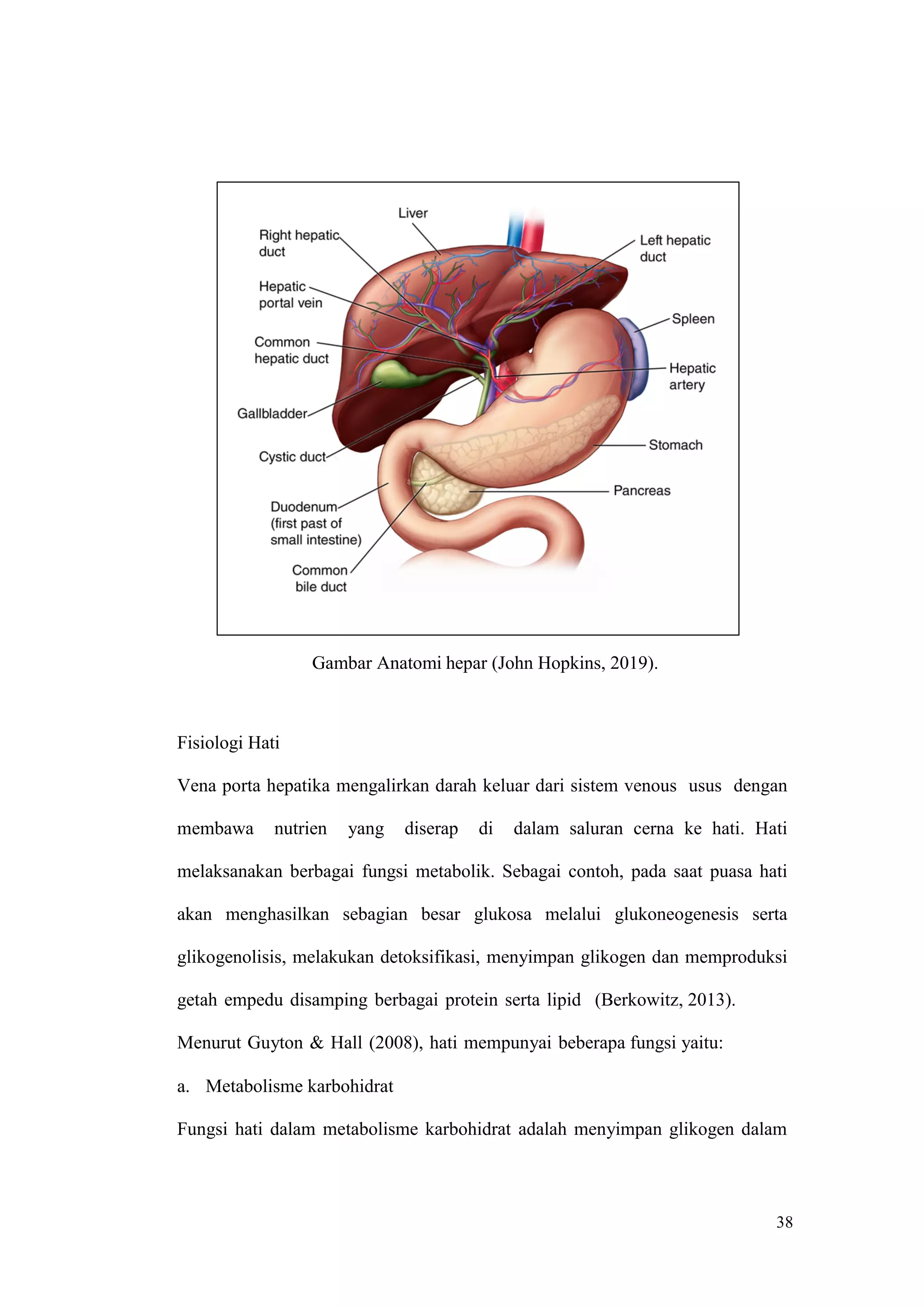 Materi M2KB2 - Anatomi Fisiologi | PDF