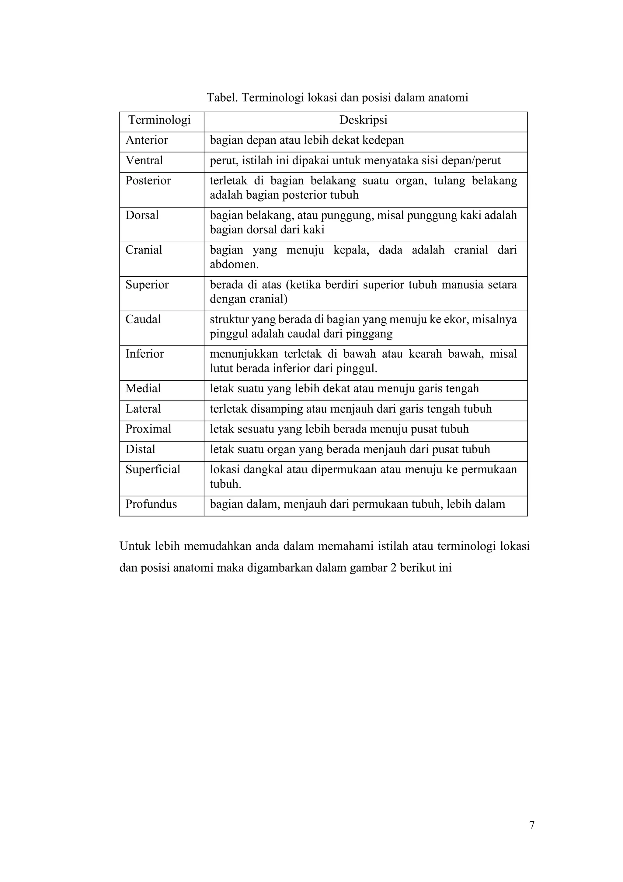 Materi PDF M2KB2 - Anatomi Fisiologi | PDF