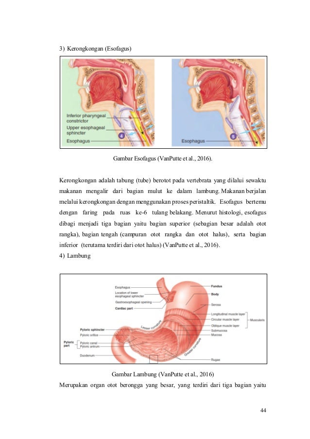 Materi PDF M2KB2 - Anatomi Fisiologi