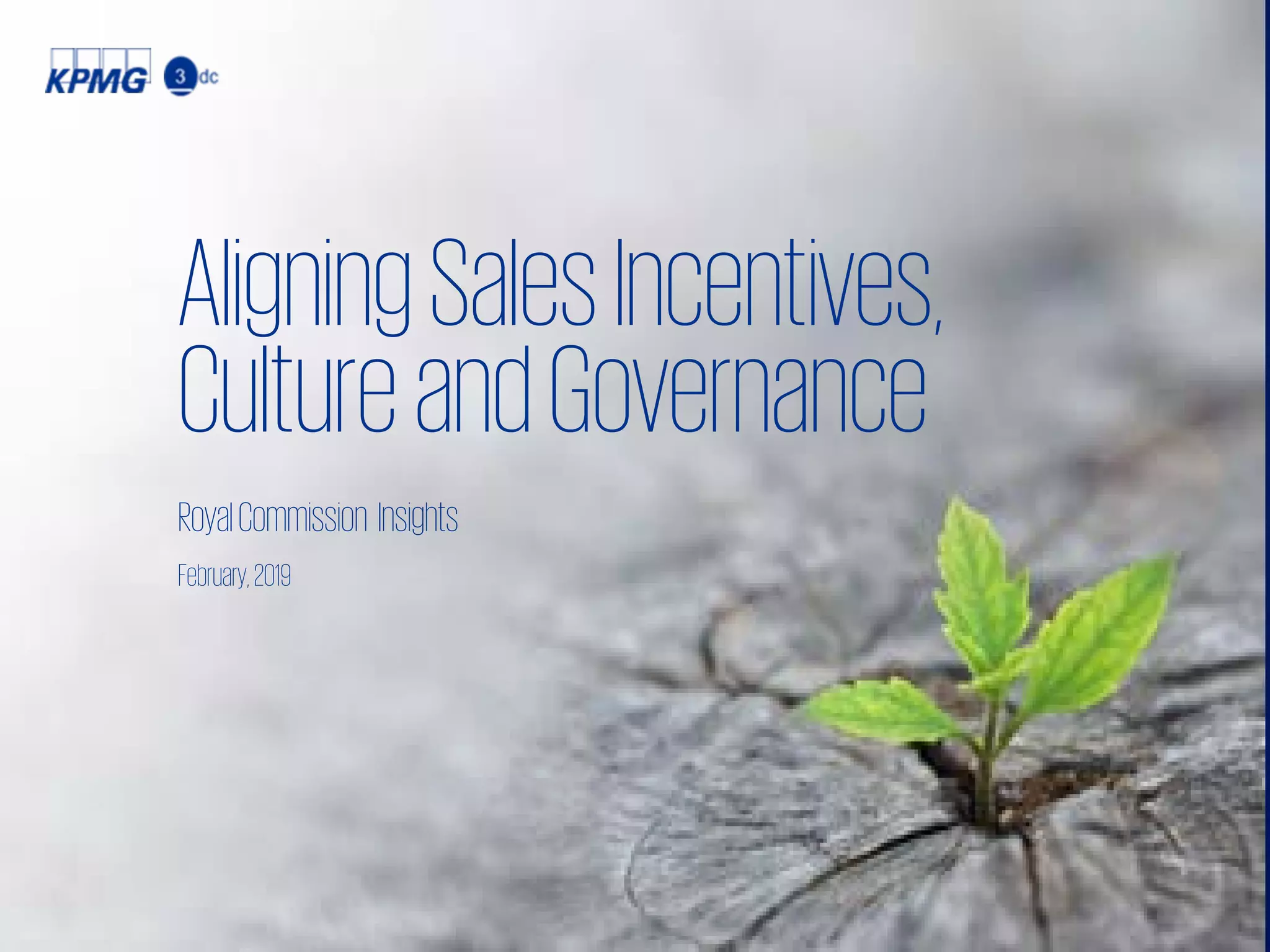 Aligning Sales Incentives, Culture and Governance | PPT