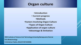Organ culture types introduction methods application | PPTX