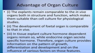 Organ culture types introduction methods application | PPTX