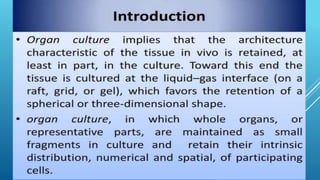 Organ culture types introduction methods application | PPTX
