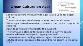 Organ culture types introduction methods application | PPTX