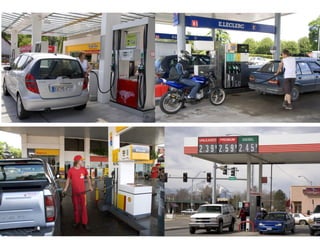 Organisms as Chemical Factories - Kristala Prather | PDF