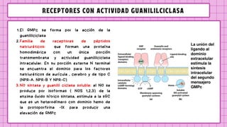 Receptores_enzimaticos_ presentación farmacología.pdf