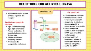 Receptores_enzimaticos_ presentación farmacología.pdf