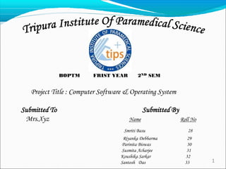 Computer Software and Operating System | PDF