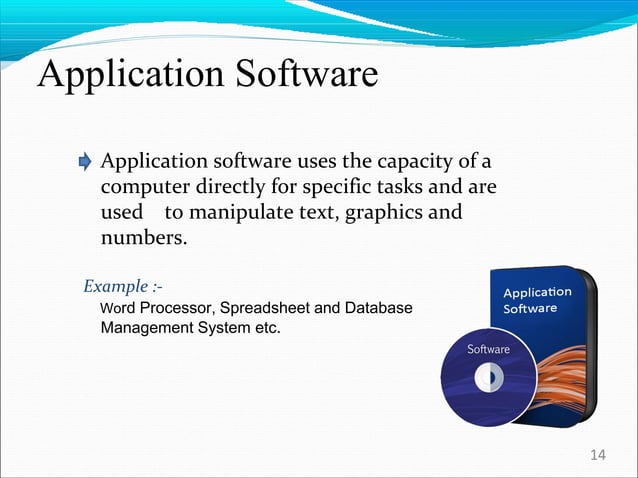 Computer Software and Operating System | PDF