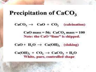 Kraft process | PPTX