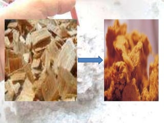 Kraft process | PPTX