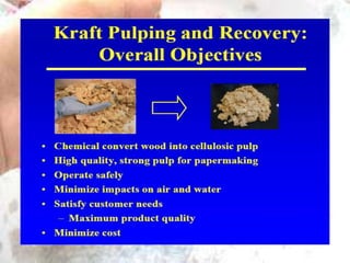 Kraft process | PPTX