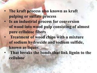 Kraft process | PPTX