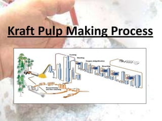 Kraft process | PPTX