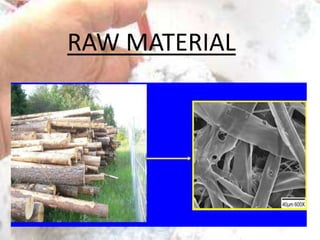 Kraft process | PPTX