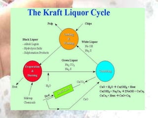Kraft Process Diagram