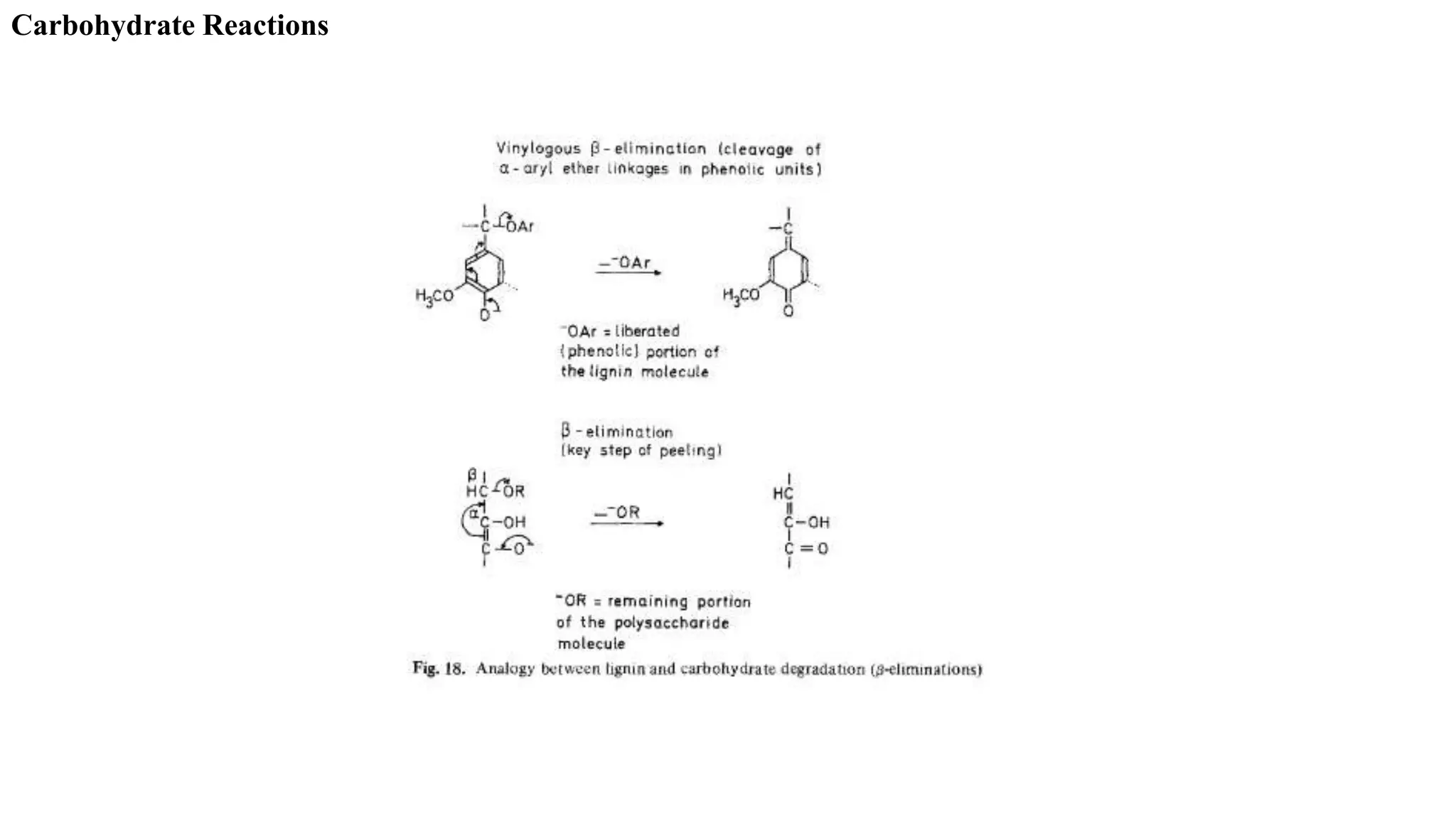 Kraft pulping | PPTX