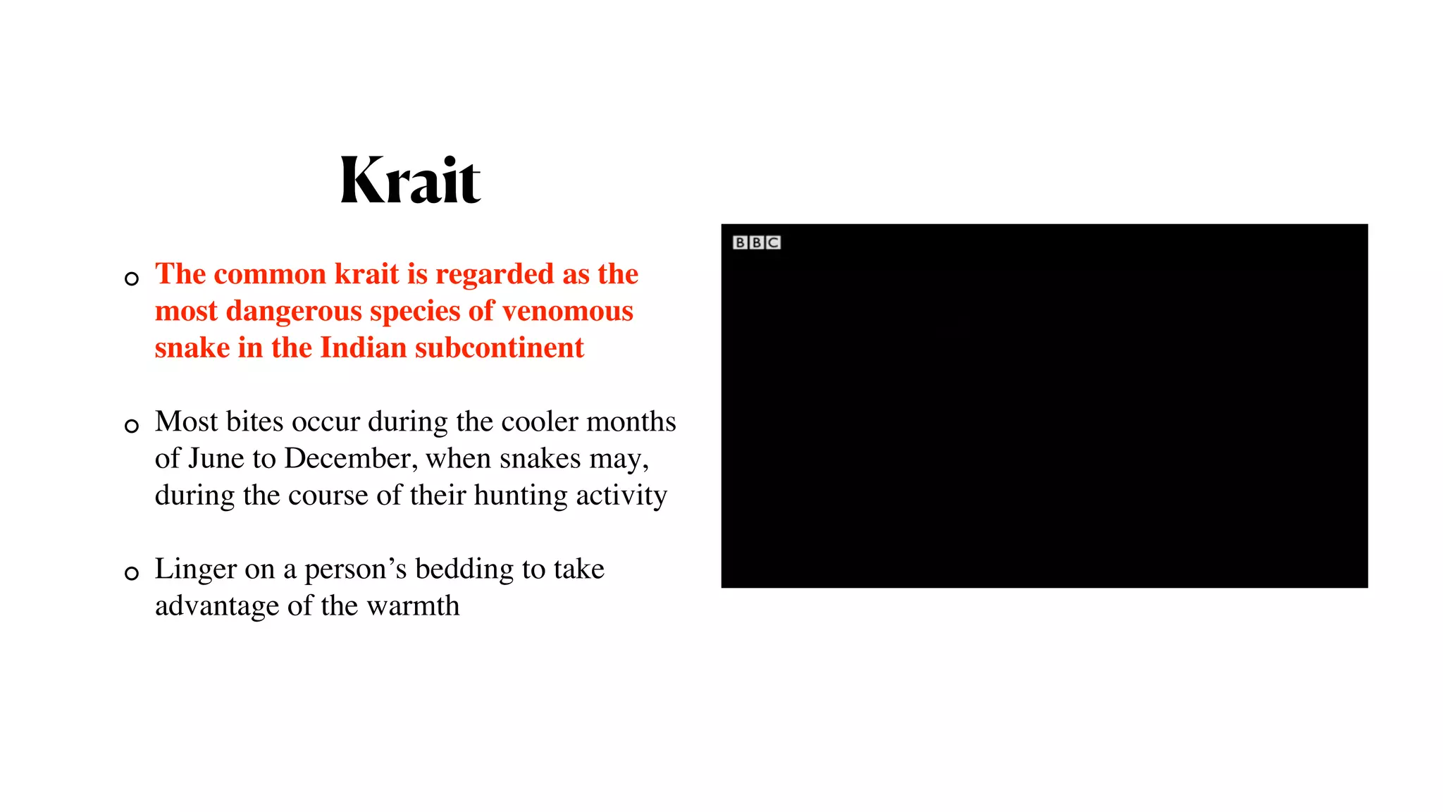 Krait : Envenomation | PDF