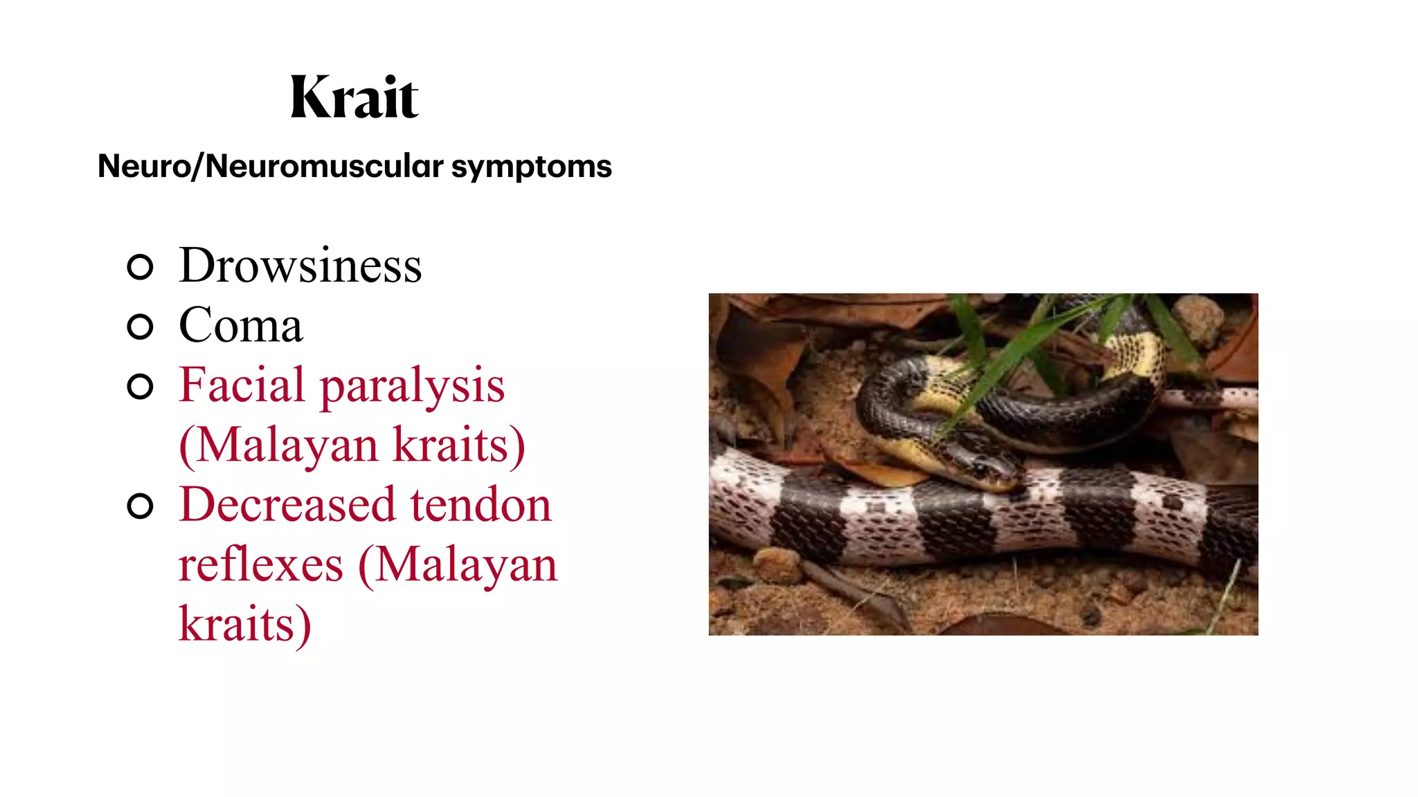 Krait : Envenomation | PDF