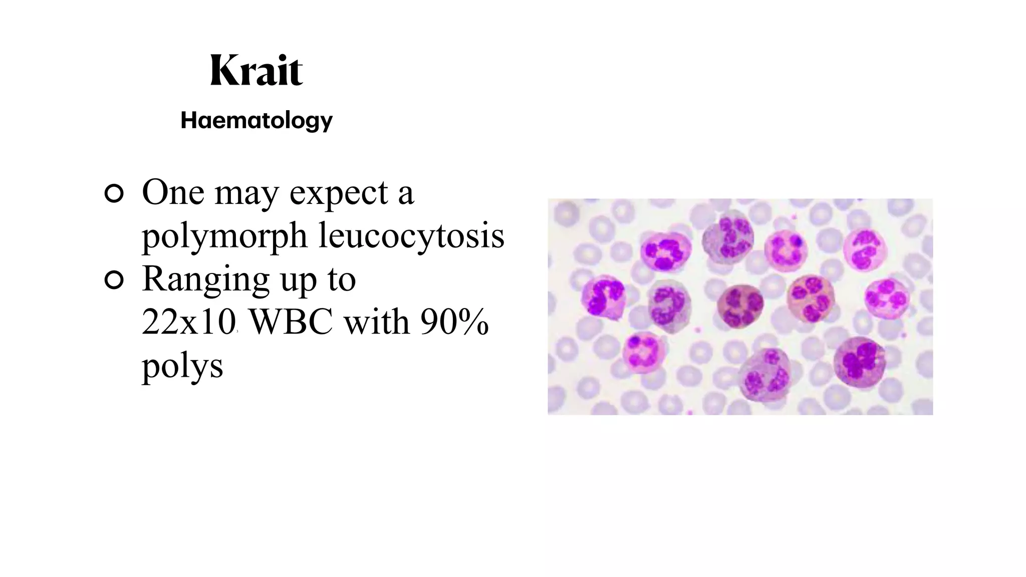 Krait : Envenomation | PDF