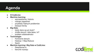 Machine learning and Big Data (lecture in Polish) | PDF