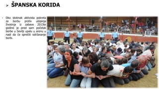 Kraljevina Spanija | PPTX