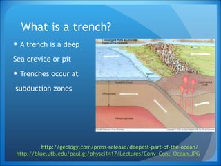 Trenches by Asa | PPT | Geography | Science