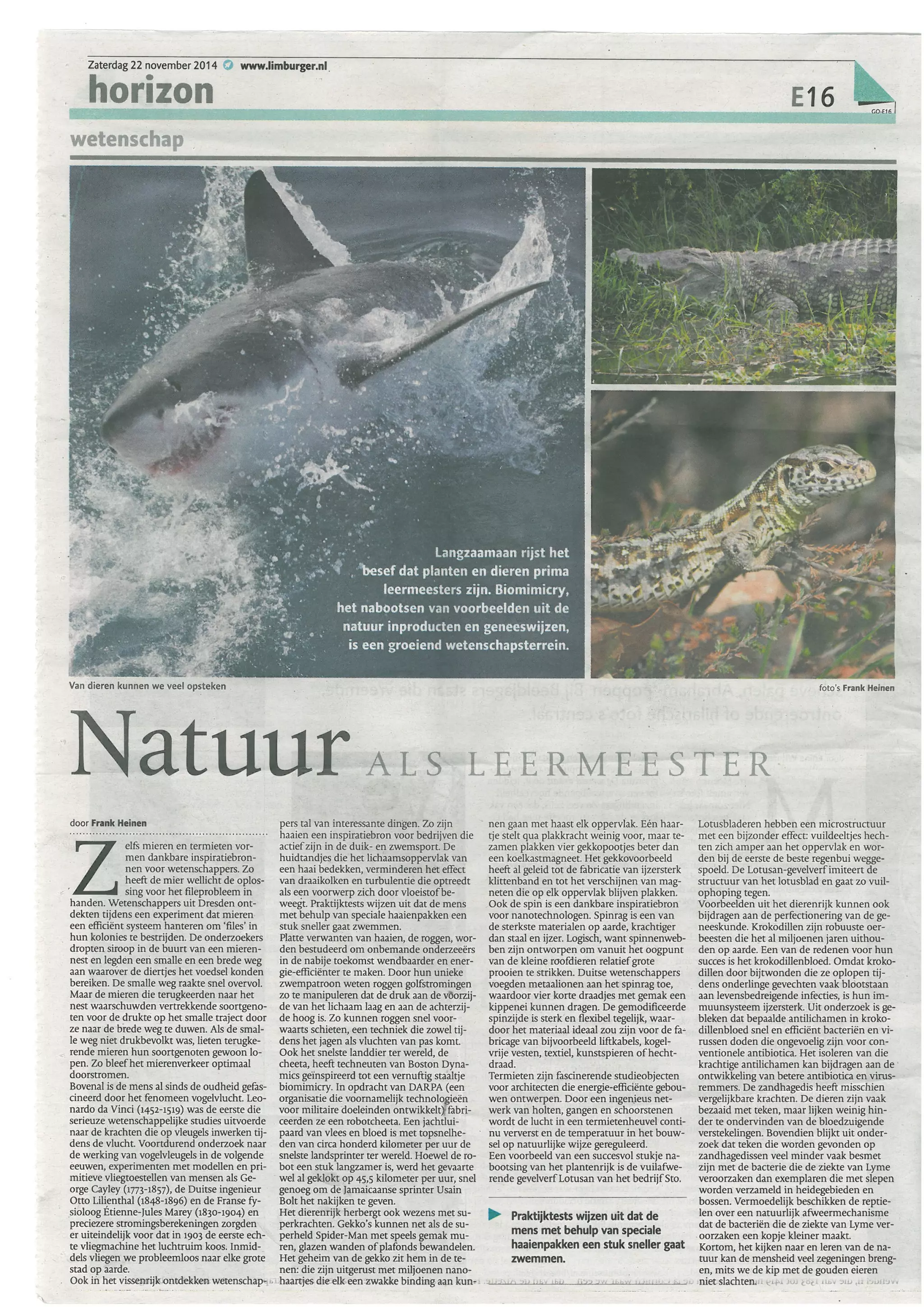 Krantenartikel limburgs dagblad 22 11-2014 | PDF
