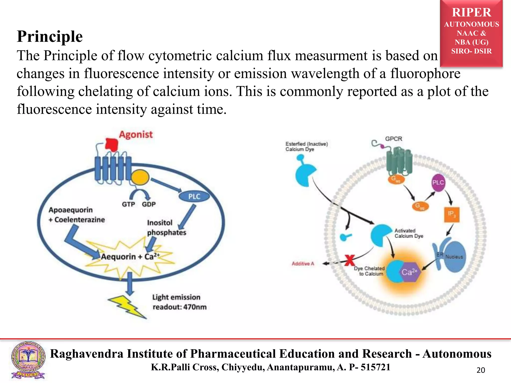PRINCIPLE AND APPLICATIONS OF CELL VIABILITY, GLUCOSE UPTAKE AND ...